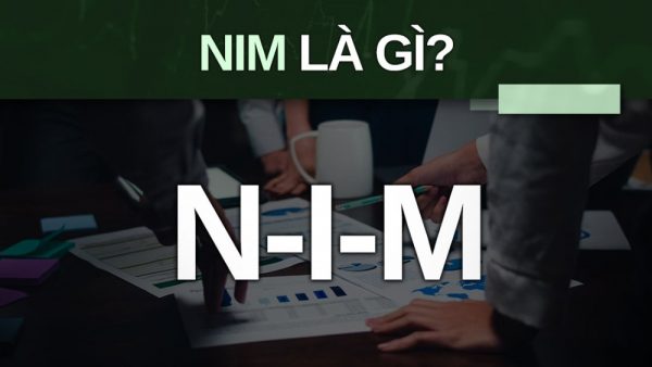 NIM là gì? Ý nghĩa và cách tính chỉ số NIM chi tiết