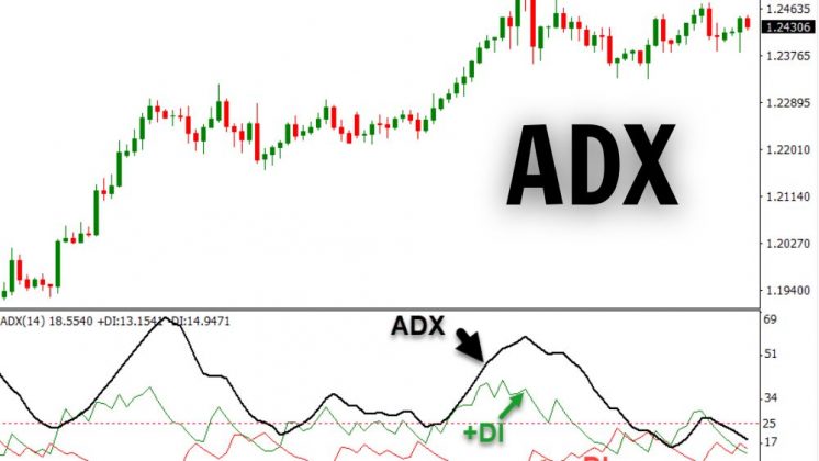 ADX là gì? Cách sử dụng chỉ báo ADX xác định xu hướng